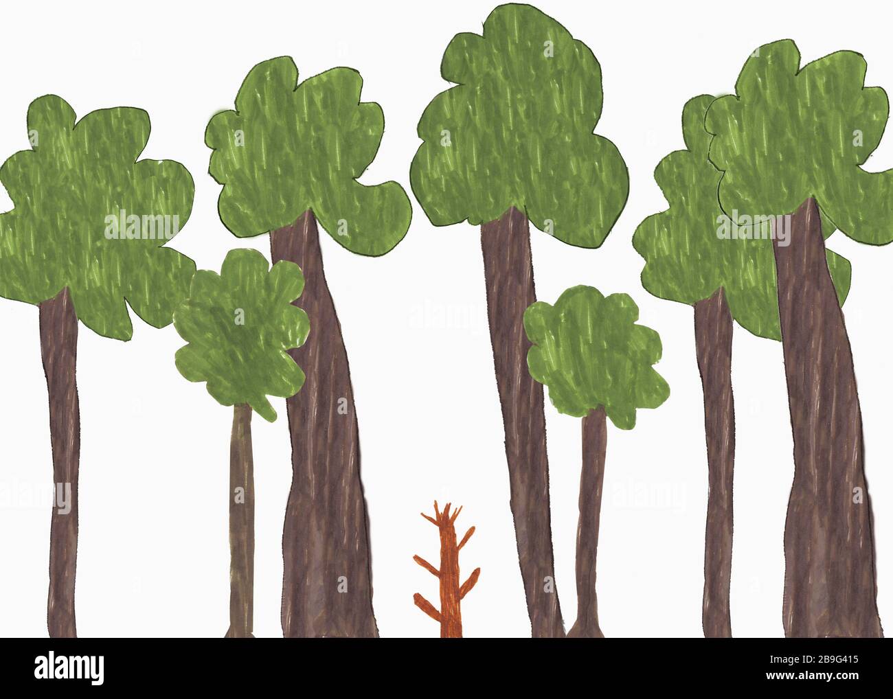 Big tree drawing color hi-res stock photography and images - Alamy