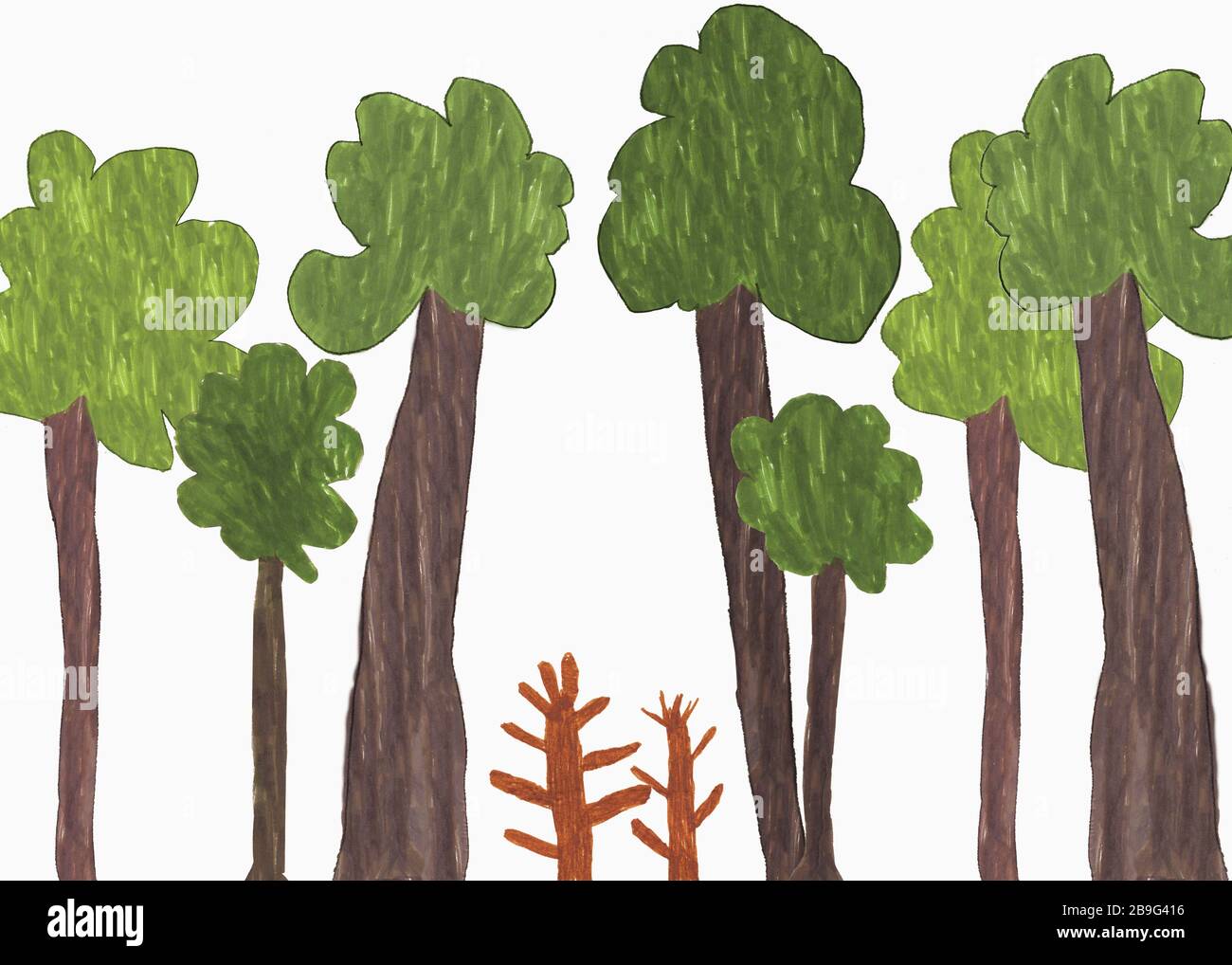 Tree trees conservation nature Cut Out Stock Images & Pictures - Alamy