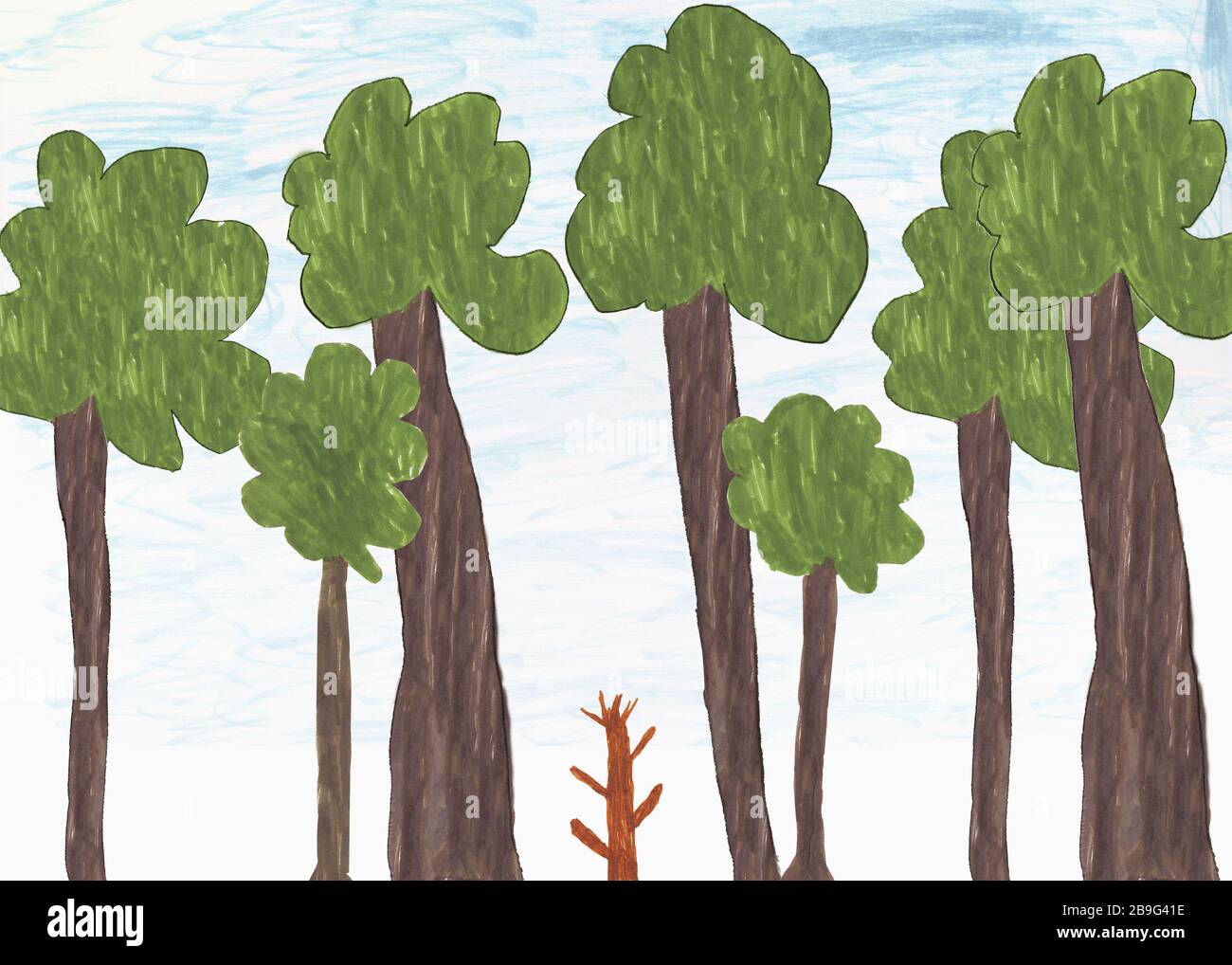 Childs drawing of big and small trees Stock Photo - Alamy