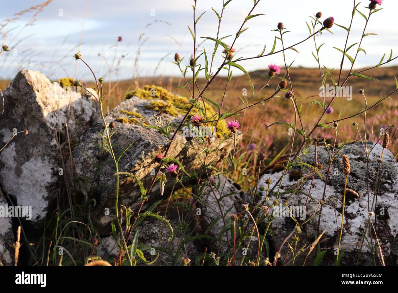 Irish lands hi-res stock photography and images - Alamy