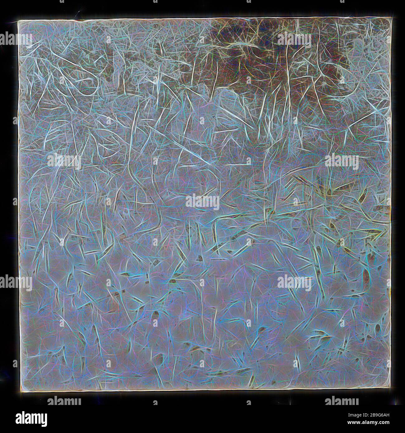 Rotterdam swimming hi-res stock photography and images - Alamy