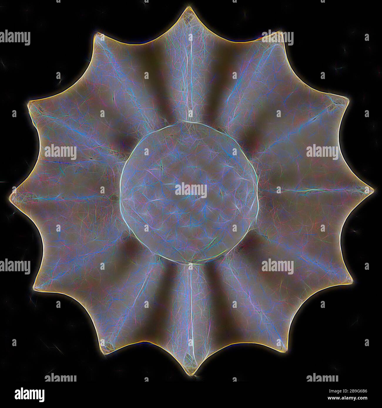 White relief: Cartouche-shaped rosette, embossed rosette marble stone ...