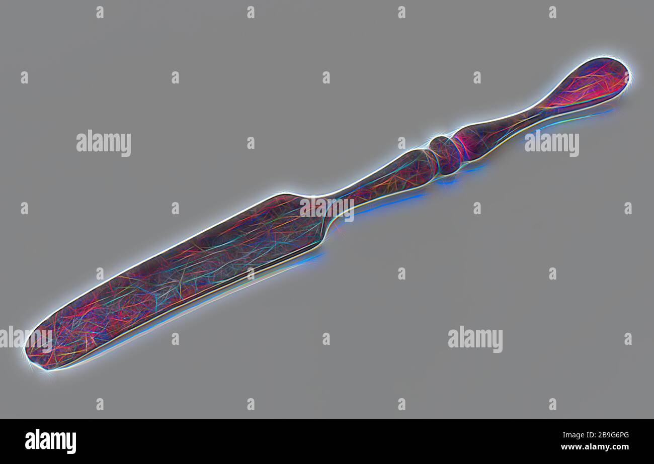 Combination of curved spatula and spoon in one piece, spatula tools ...