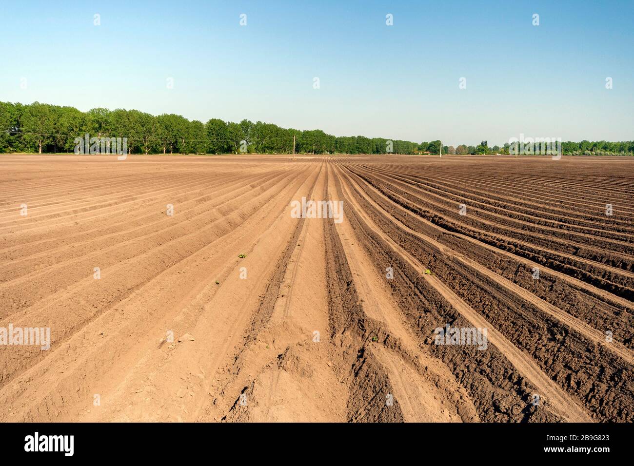Freshly plowed soil in the Great Hungarian Plain Stock Photo - Alamy