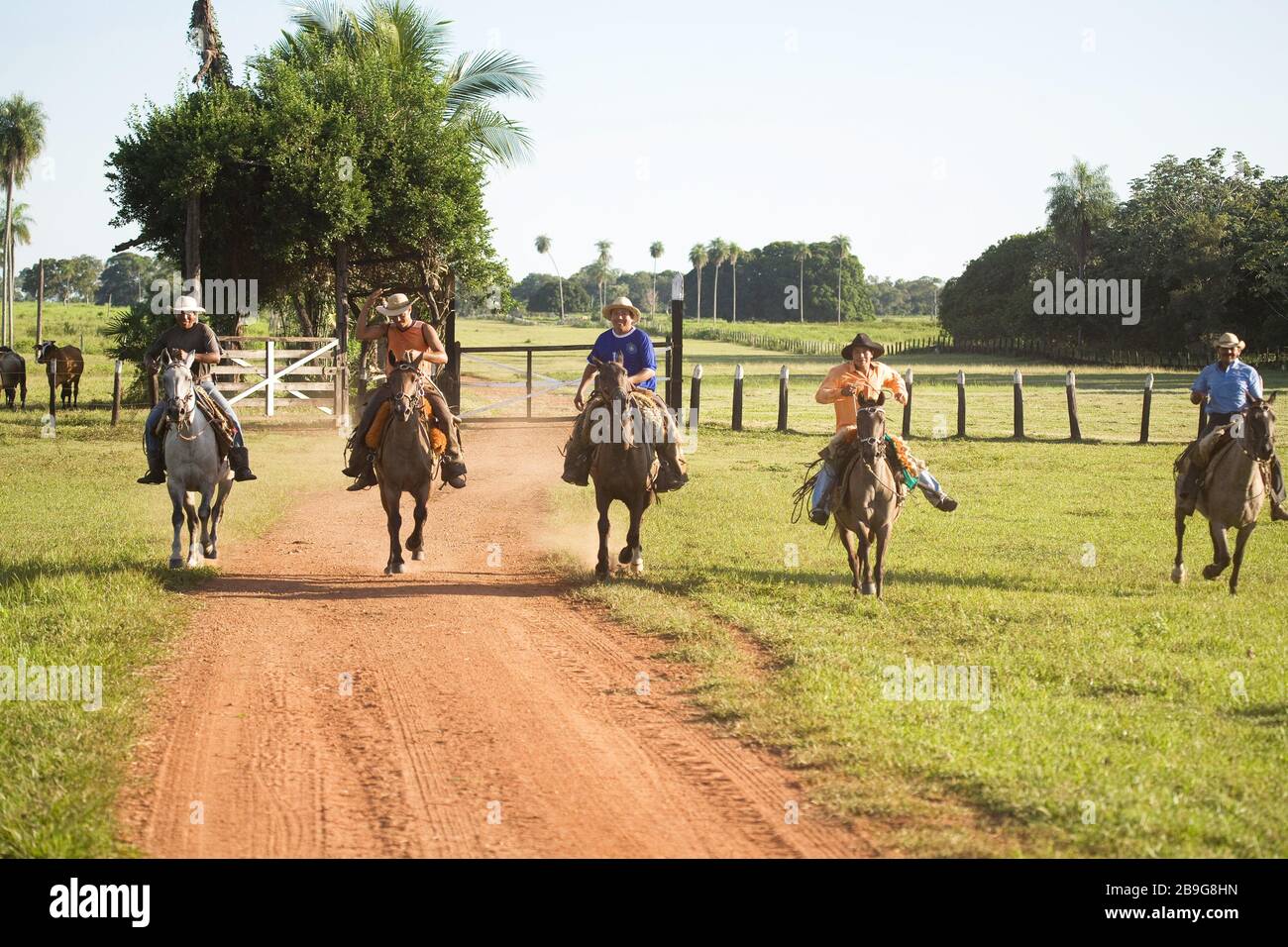 Pantaneiro and horses hi-res stock photography and images - Alamy