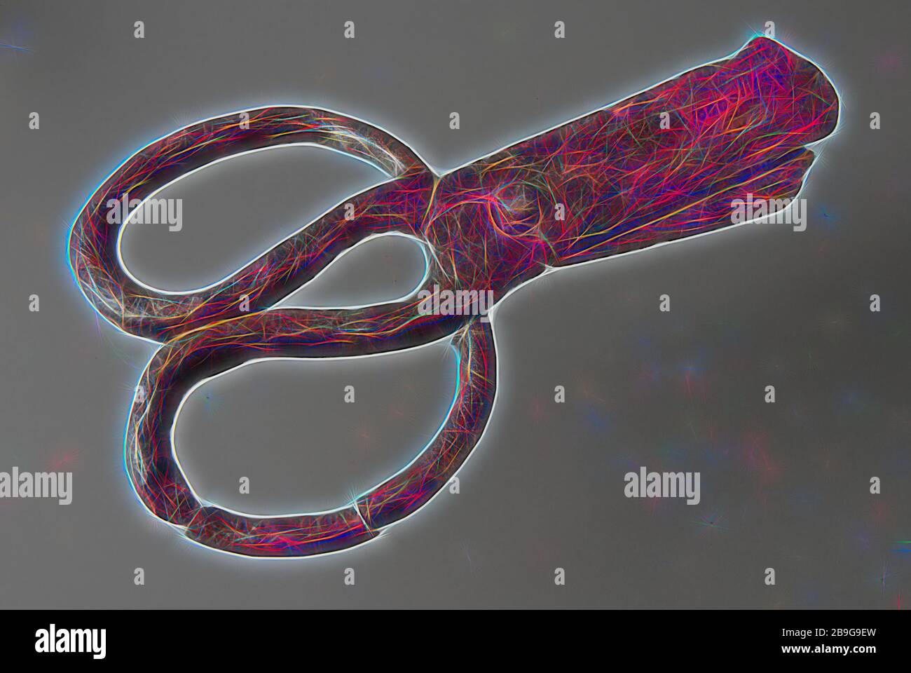 Iron scissors, scissors tool equipment founding iron 18g 18,8, largest ...