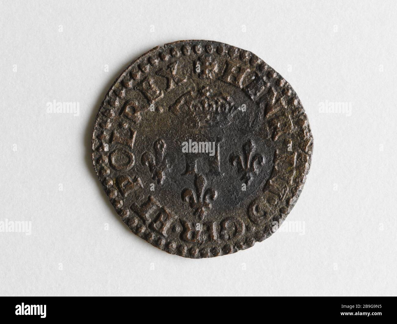 Copper liard hi-res stock photography and images - Alamy