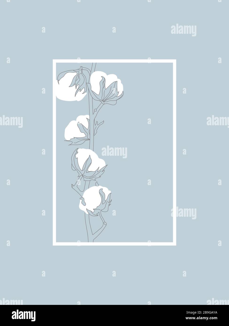 Cotton Branch Line Vector Design on Blue. Delicate Line art in Frame ...