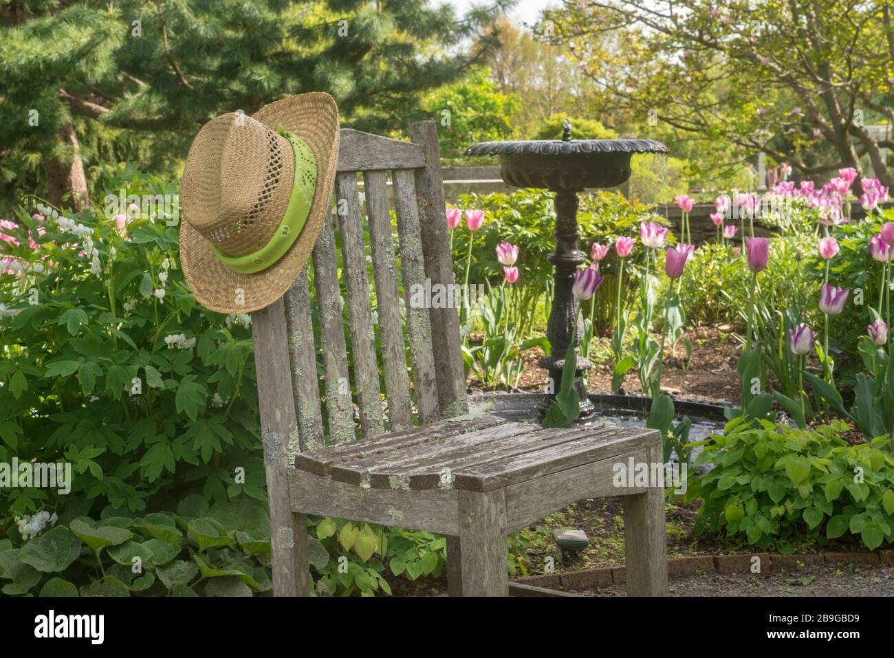 Bleeding hearts in garden hi-res stock photography and images - Alamy