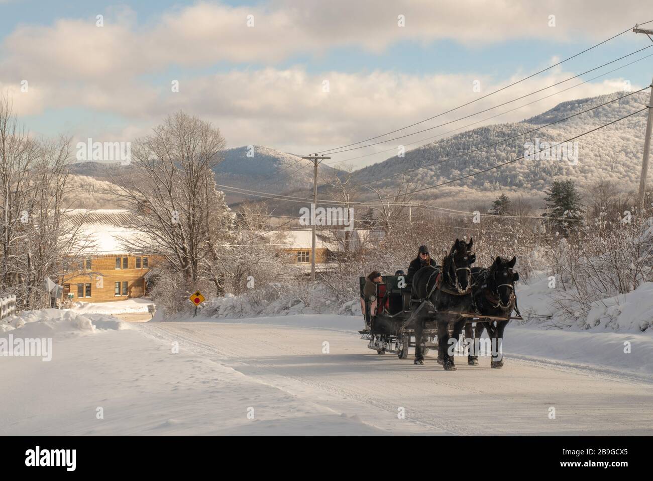Sleigh horses winter snow hi-res stock photography and images - Alamy