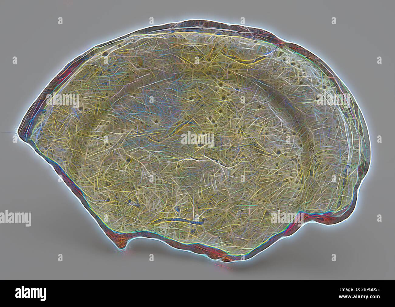 Salt scale archeology hi-res stock photography and images - Alamy