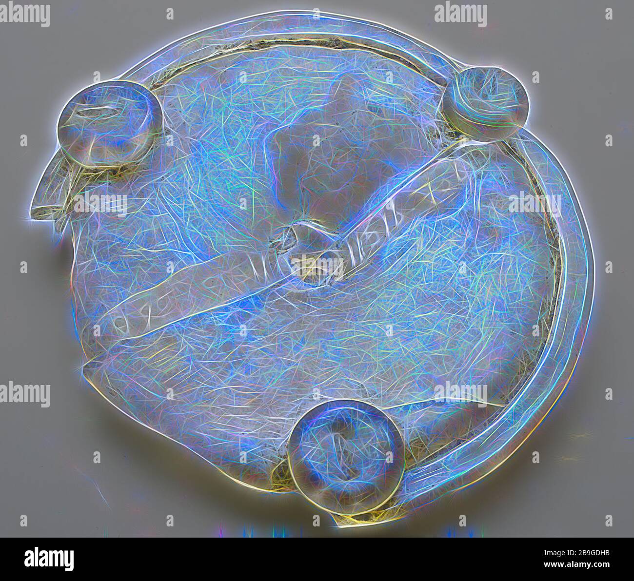 Two fragments of stand knobs, foot ring, bottom and wall of ribs ...