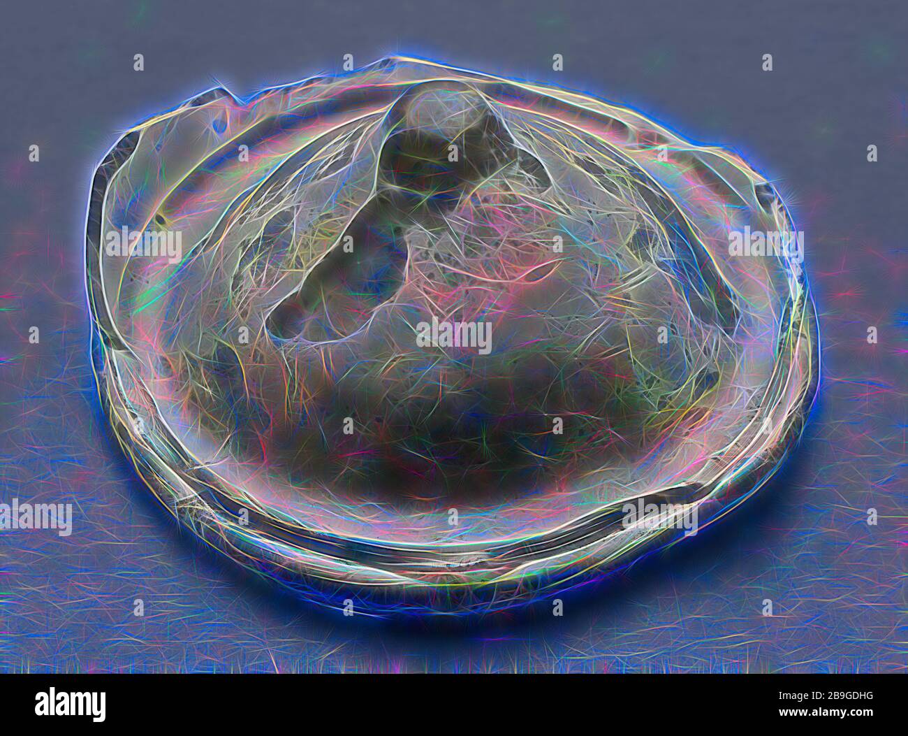 Soil stand hi-res stock photography and images - Alamy