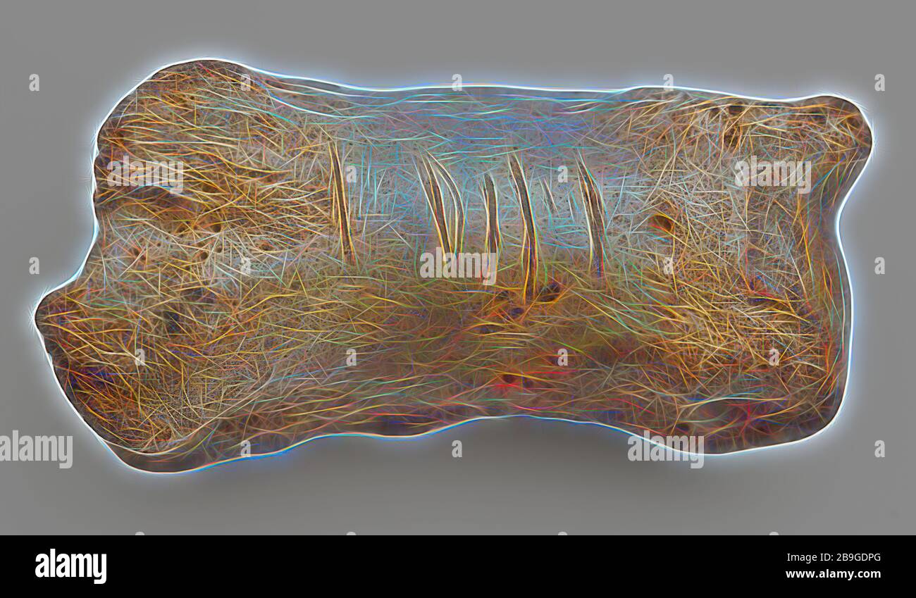 Kootbeen marked hi-res stock photography and images - Alamy