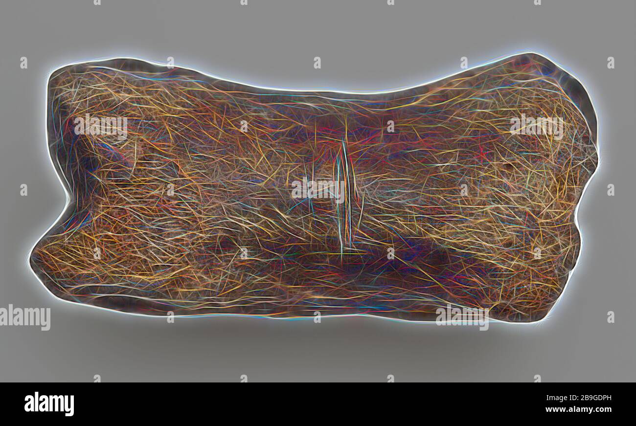 Digit from cow's leg, part of throwing game: flocks, koot game piece ...