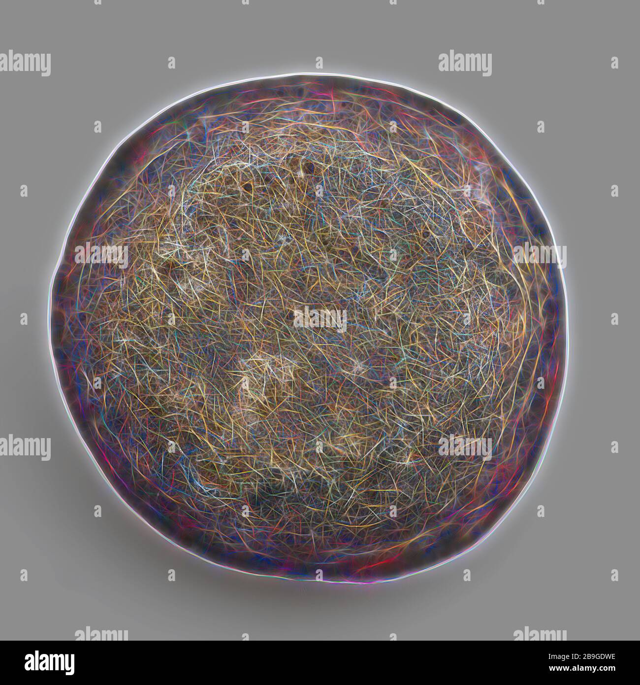 Lead disc, conical, possibly weight, weight ground find lead metal ...