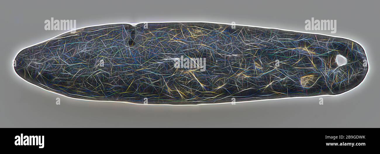 Drop-shaped lead weight, fishing lead, lead weight ground find lead ...