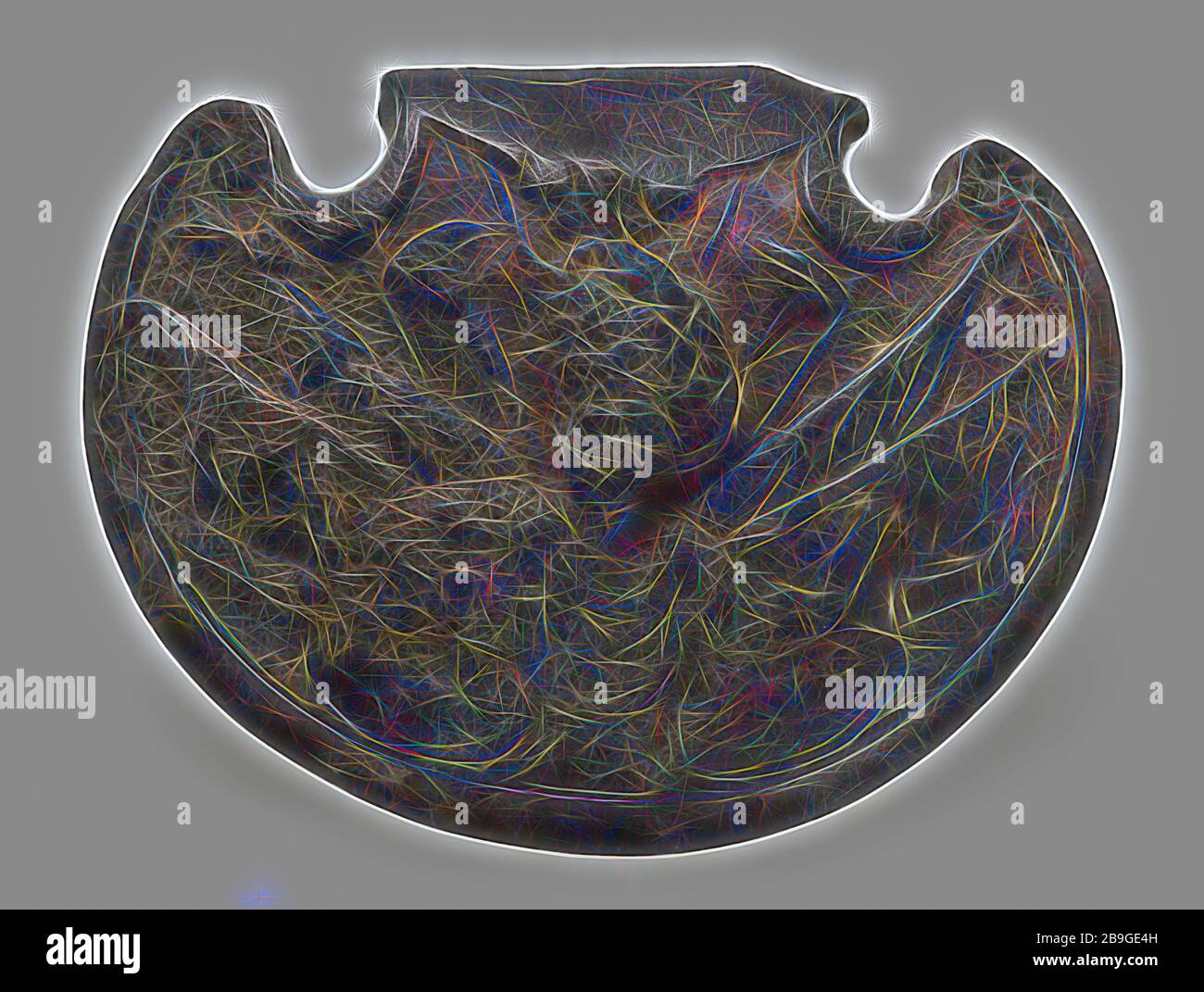 Shell-shaped military object, shield or herd, herd ground find copper ...