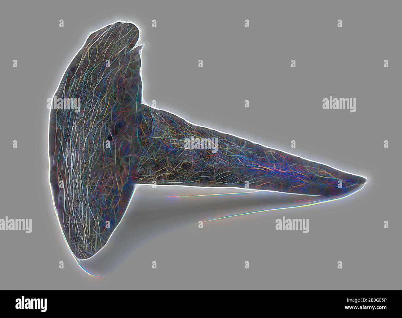 Two bronze forged nails or ornamental nails, nail fitting fittings ...