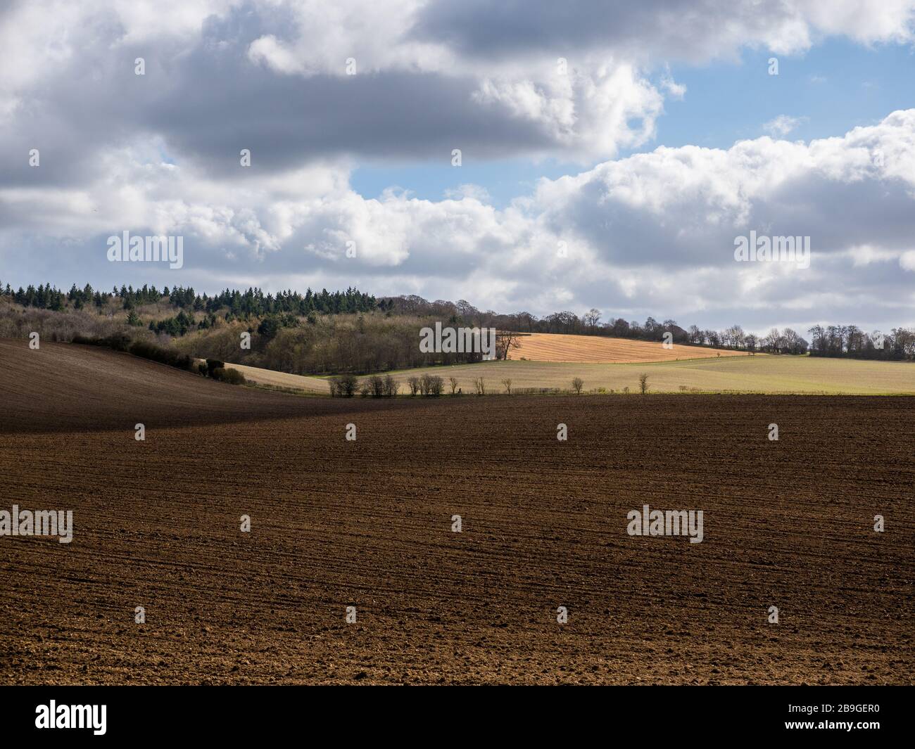 Chiltern Hills, Chiltern Hills AONB, Chilterns, Landscape nr Nuffield ...