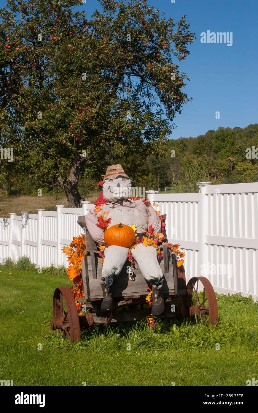 Old apple cart hi-res stock photography and images - Alamy