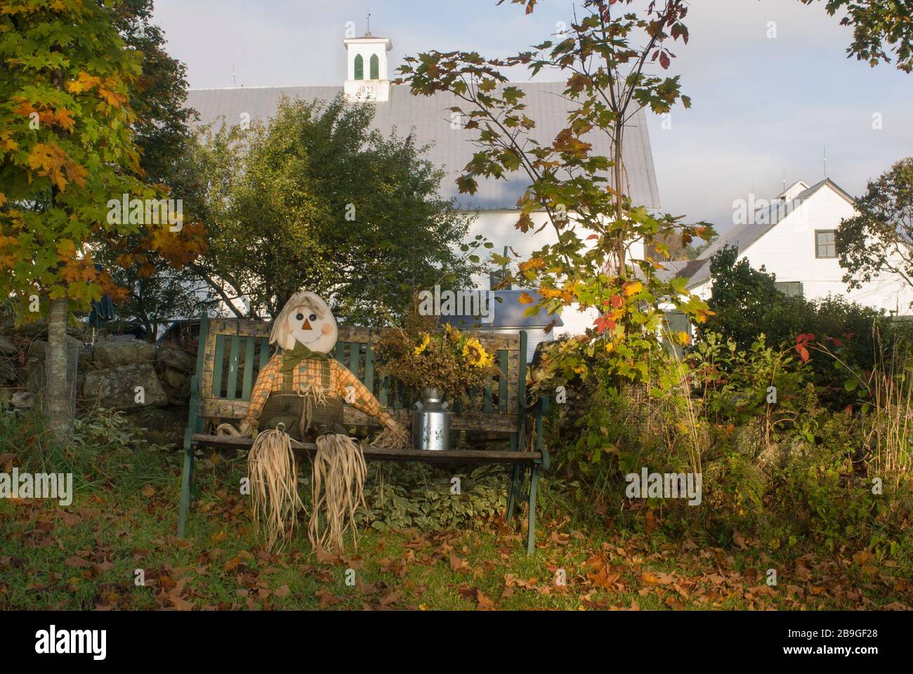 Fall decorations of a smiling straw stuffed scarecrow man sitting on a ...
