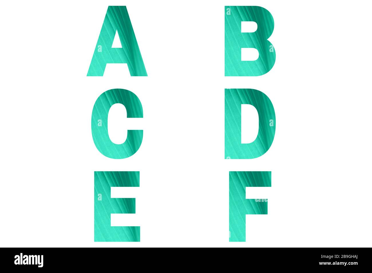 Green font Alphabet a, b, c, d, e, f made of natural banana's leaf ...