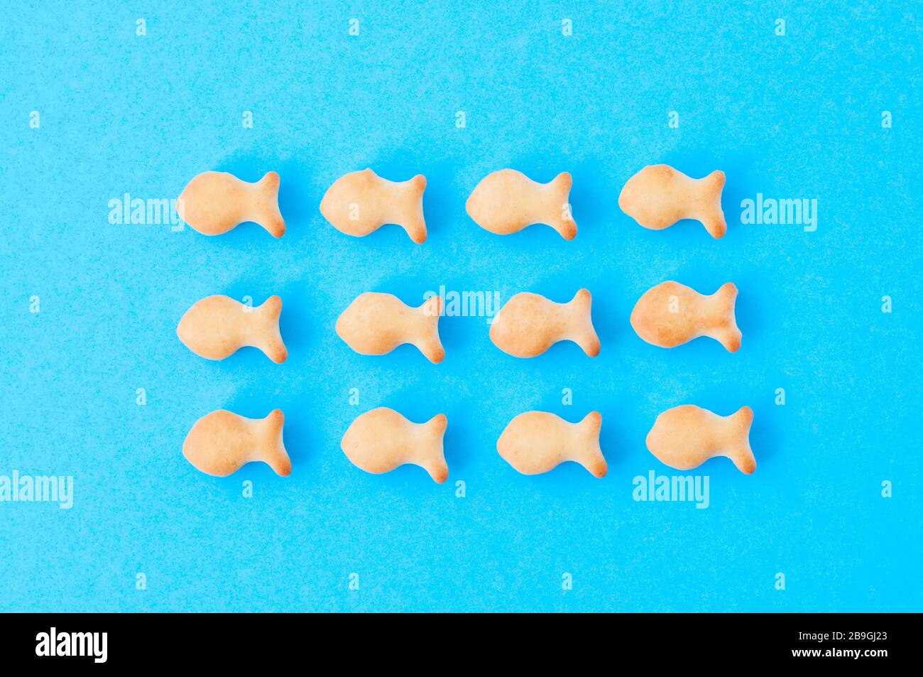 Crunchy fish crackers on a blue background. Flock symbol concept Stock ...