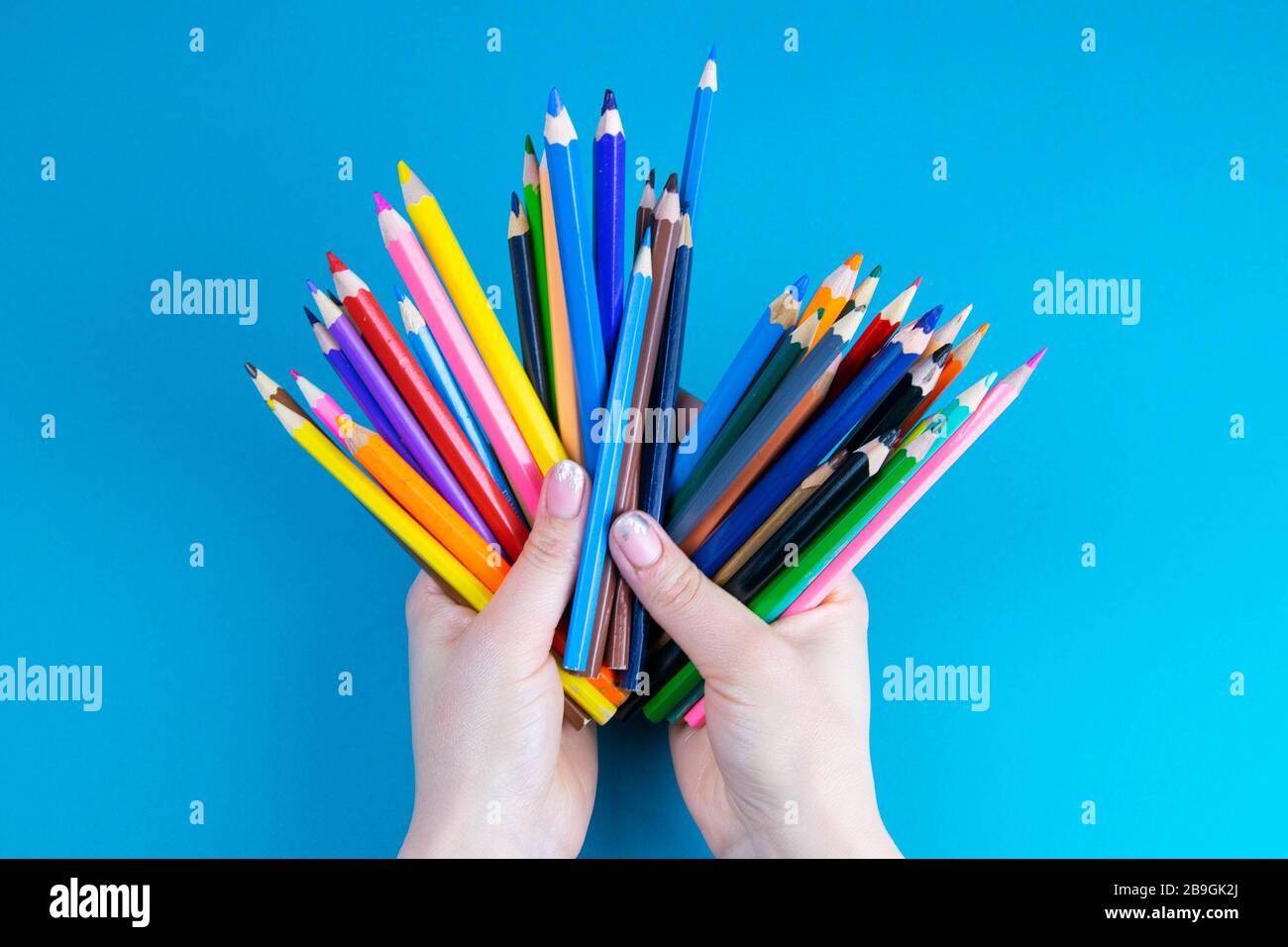 bunch of colored pencils in hand. A woman's hand holds a set of colored ...