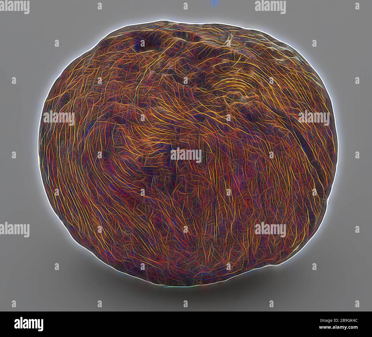 3 militaria hi-res stock photography and images - Alamy