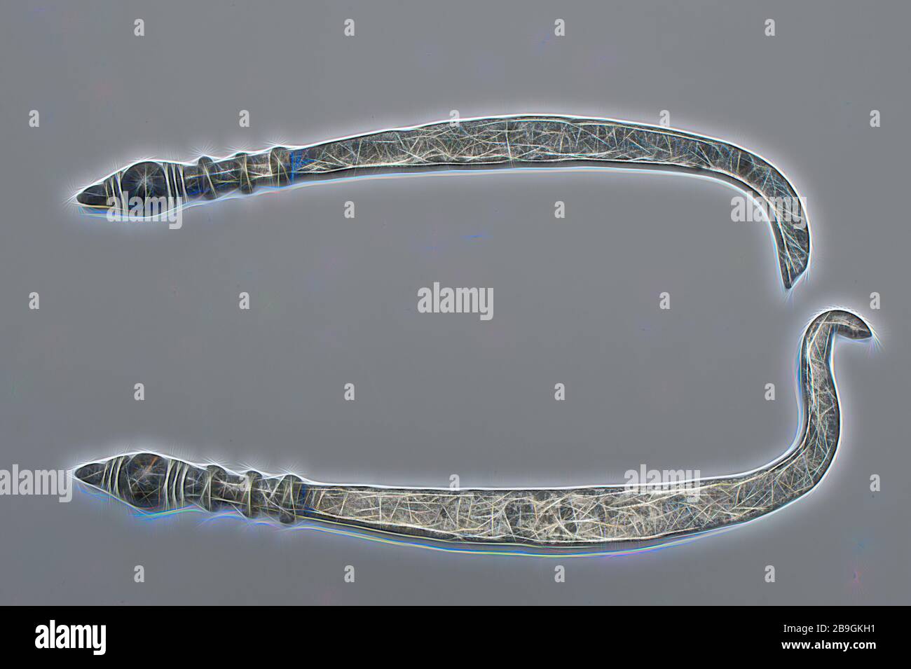 Two parts of ear iron, regional dress, ear-iron regional costume ...