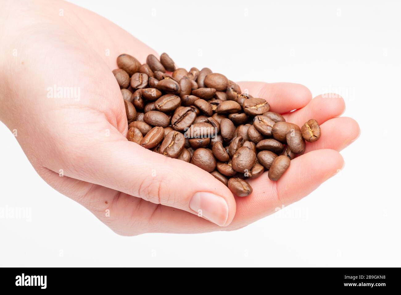 Coffee farming machine hi-res stock photography and images - Alamy
