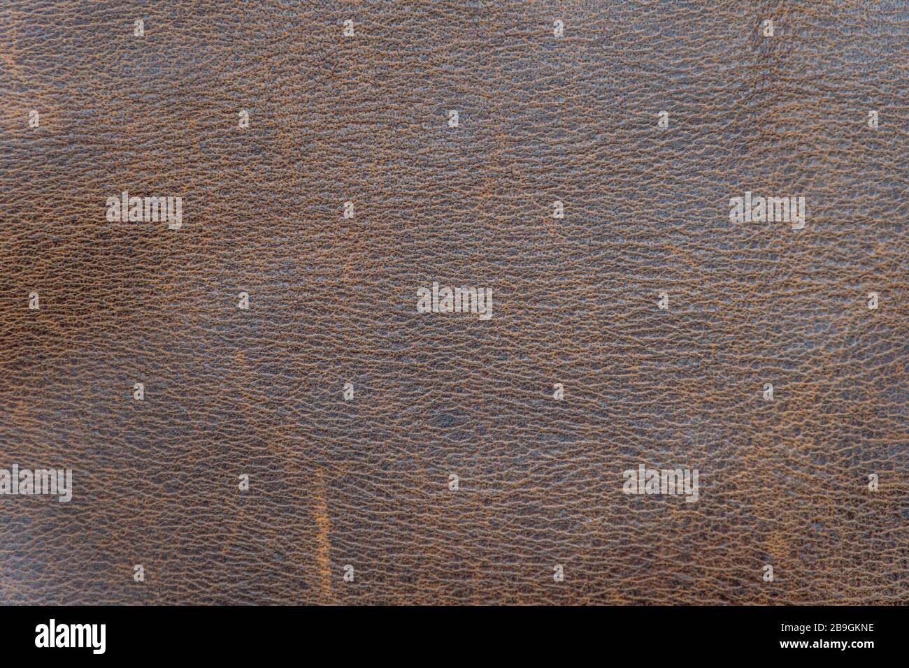 Cow leather hi-res stock photography and images - Alamy