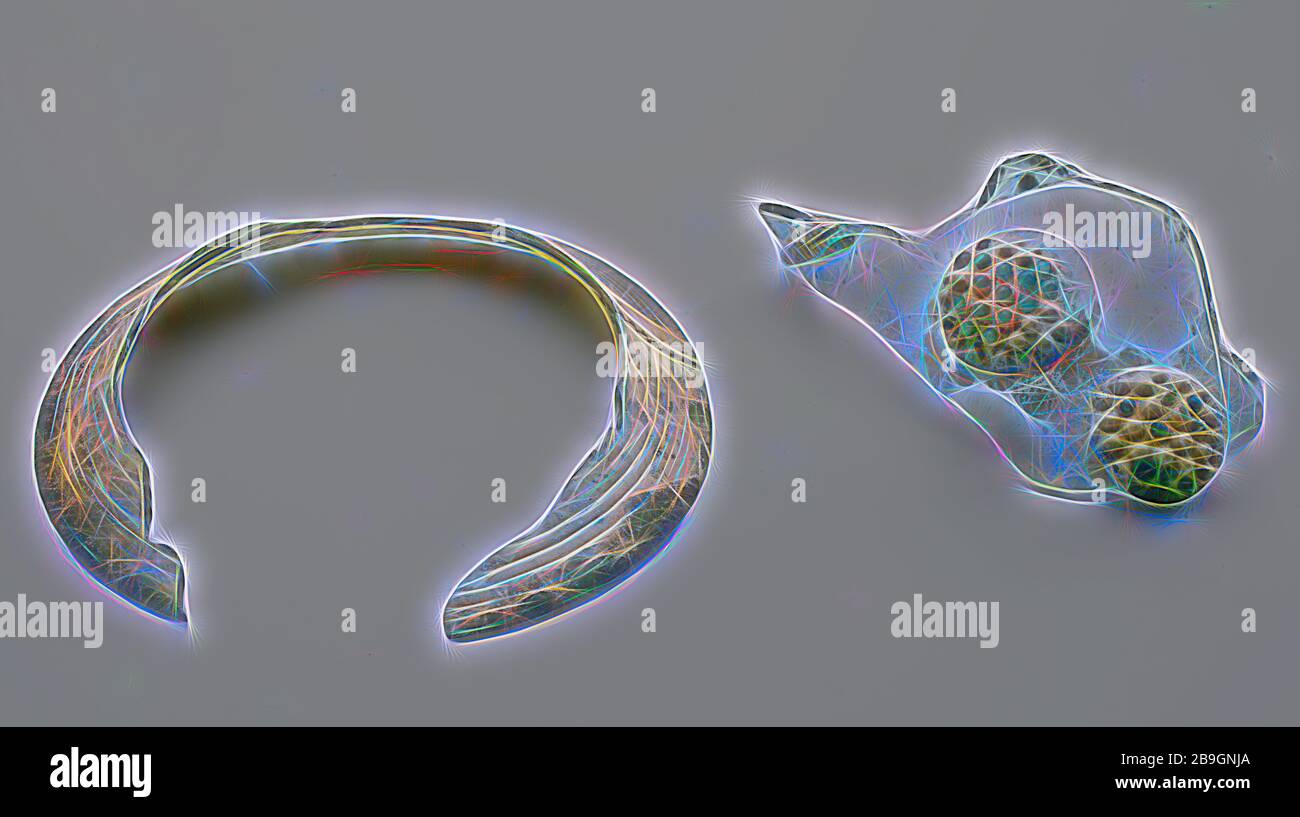 Four fragments of foot and calyx of roemer, roemer wineglass drinking ...