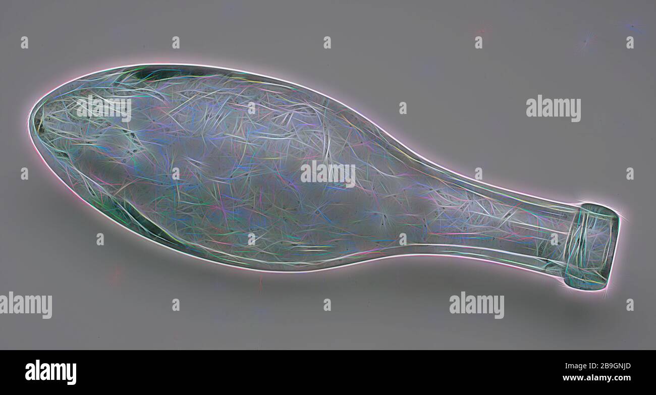 Elongated oval body hi-res stock photography and images - Alamy