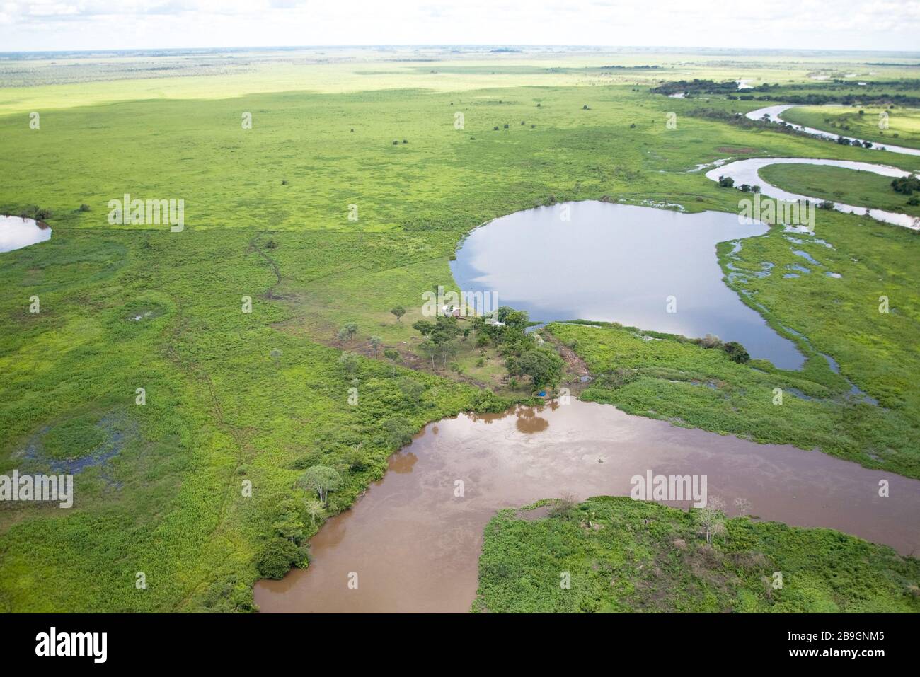 Marginal ecosystem hi-res stock photography and images - Alamy