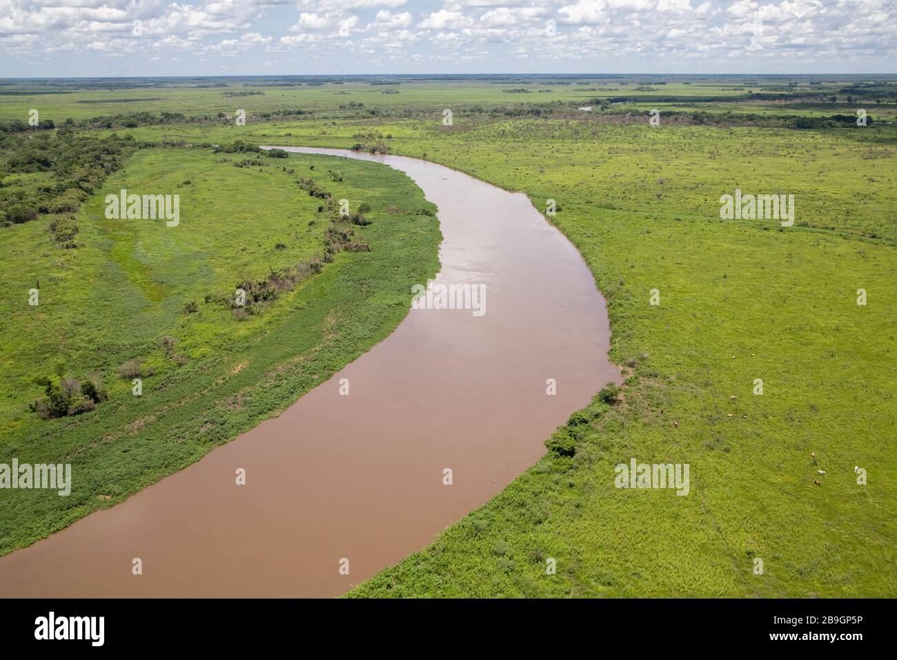 Landscape, Miranda River, Corumbá, Mato Grosso do Sul, Brazil Stock Photo - Alamy