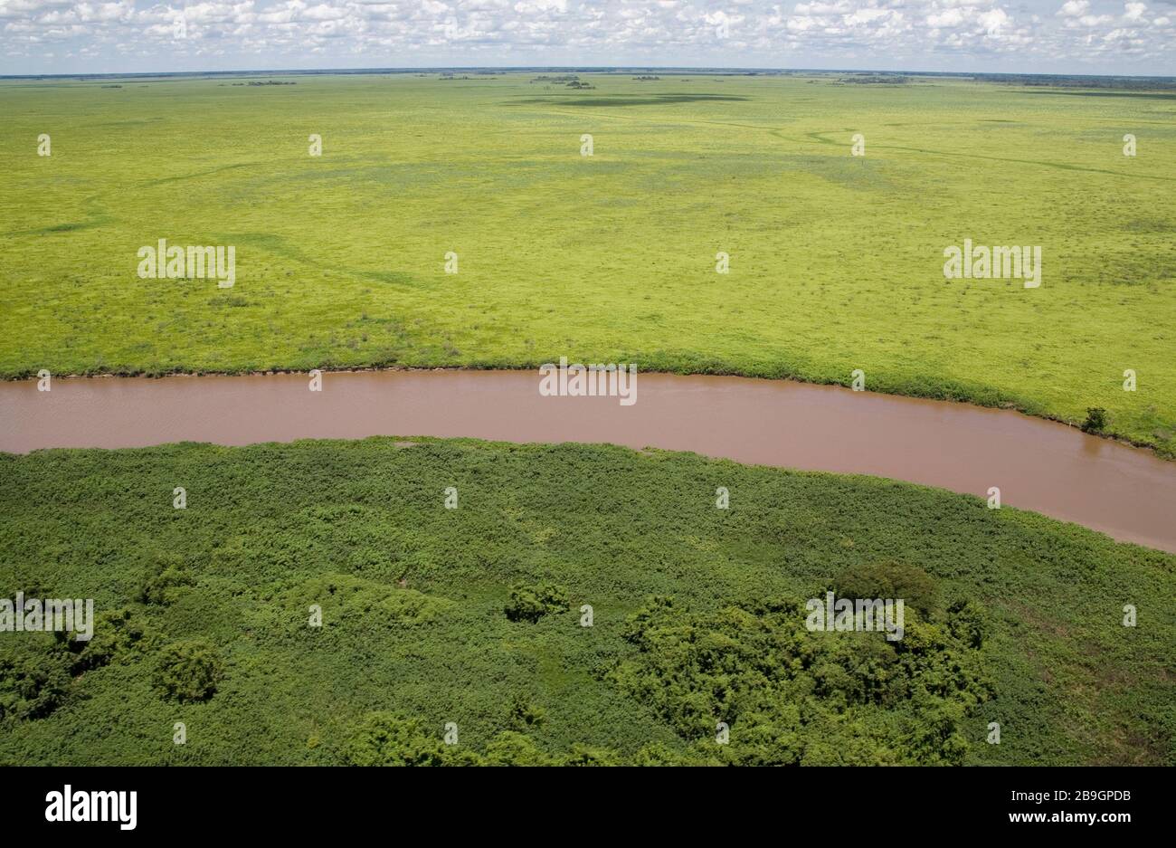 Landscape, Miranda River, Corumbá, Mato Grosso do Sul, Brazil Stock ...