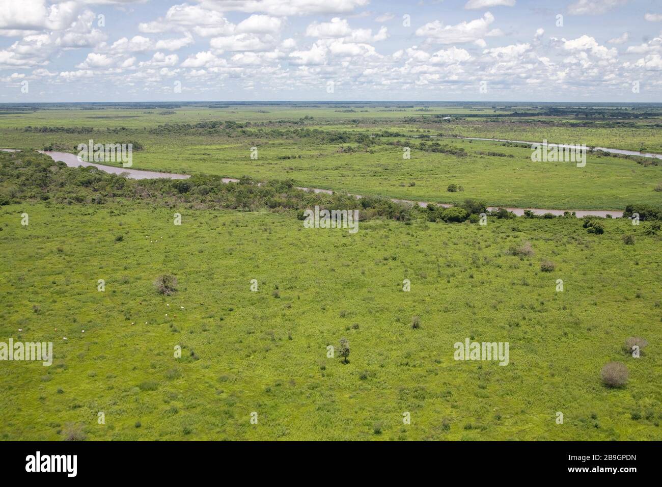 Landscape, Miranda River, Corumbá, Mato Grosso do Sul, Brazil Stock ...