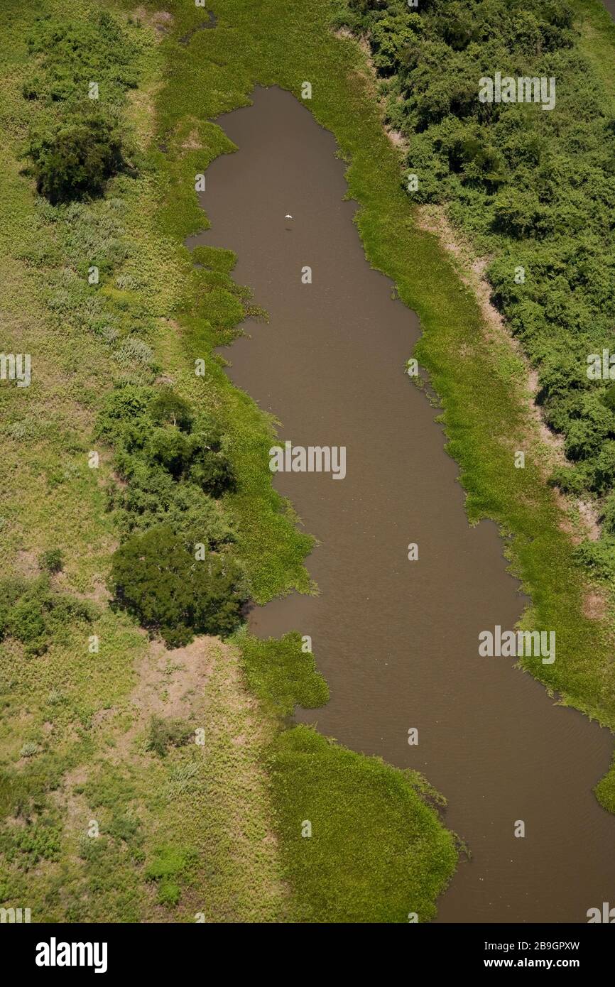 Marginal lake of Paraguai River, Corumbá, Mato Grosso do Sul, Brazil ...