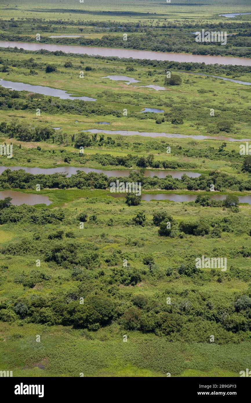 Marginal ecosystem hi-res stock photography and images - Alamy