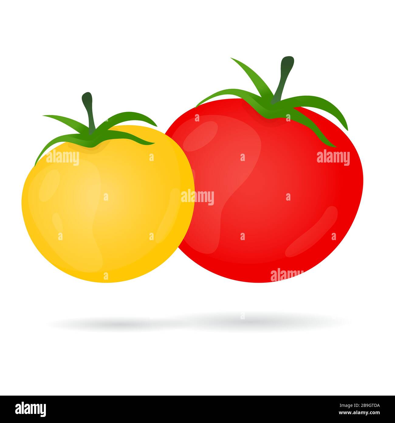 Ripe red and yellow tomatoes isolated on white background. Juicy ripe ...