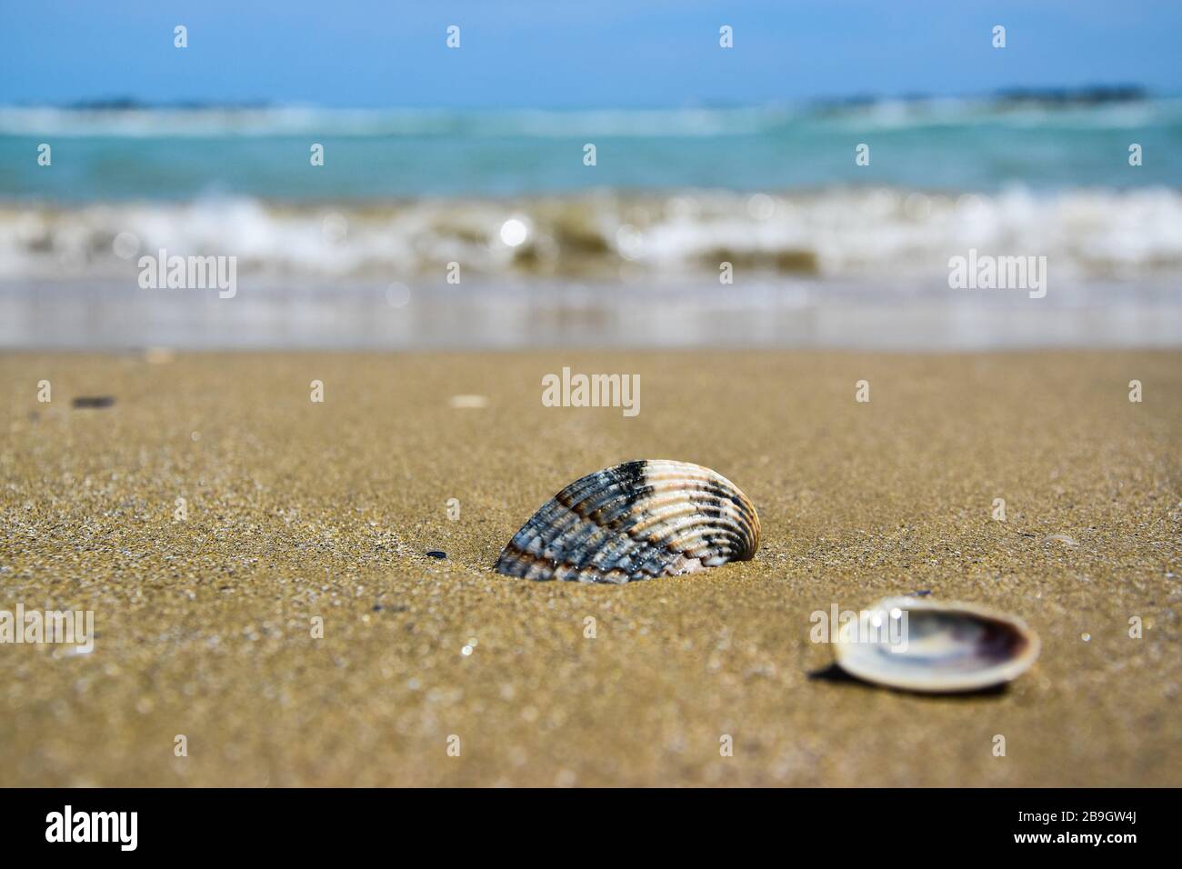 Relaxing background with seashells at the beach Stock Photo - Alamy