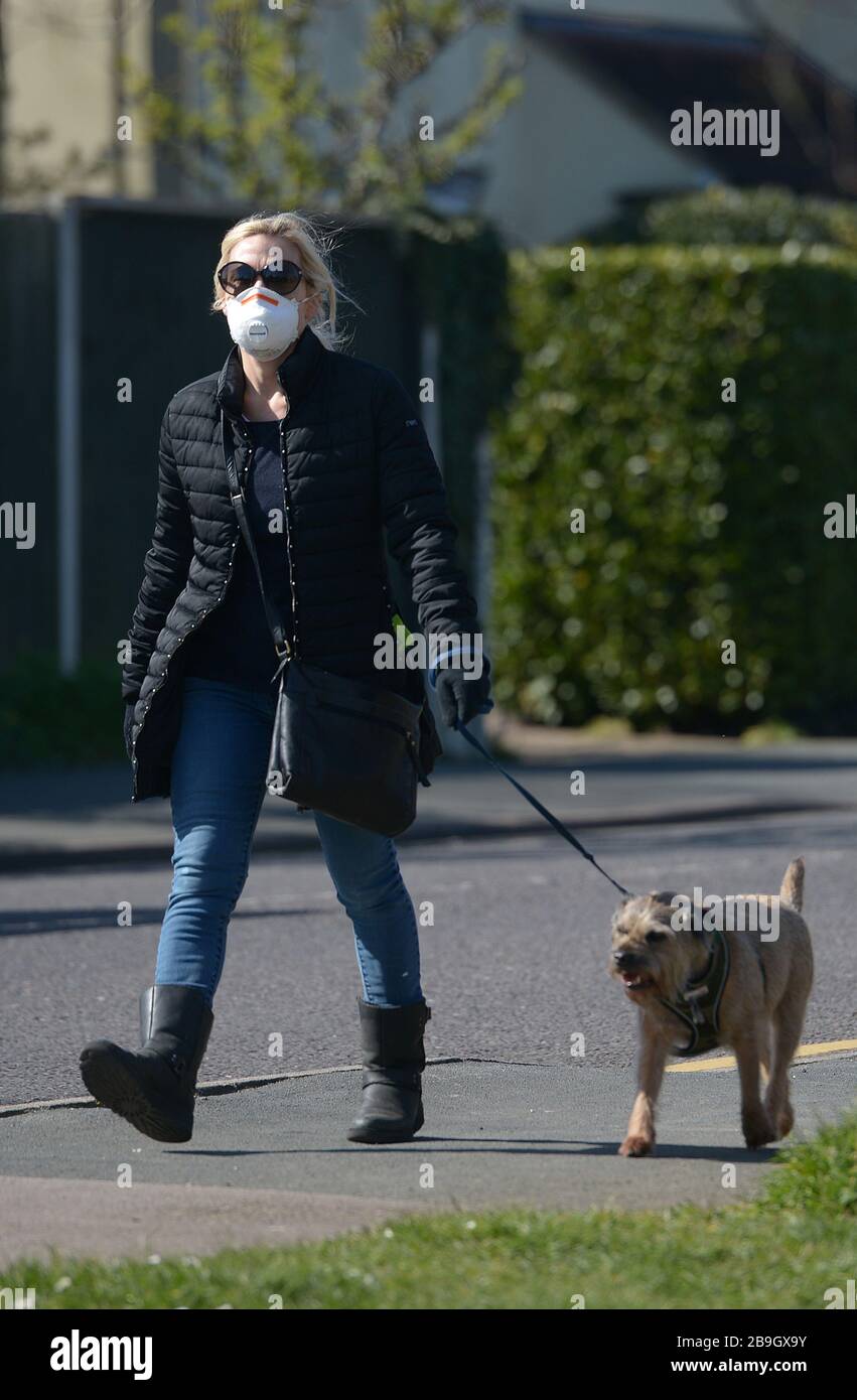 Exercises a dog in billericay hi-res stock photography and images - Alamy