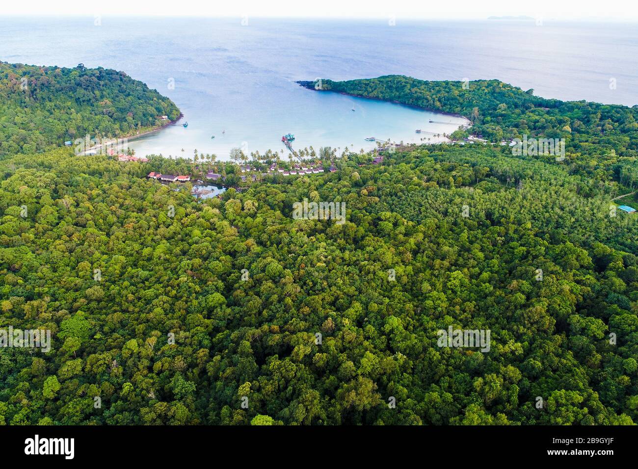Seashore blue ocean with green tree forest aerial view Stock Photo - Alamy