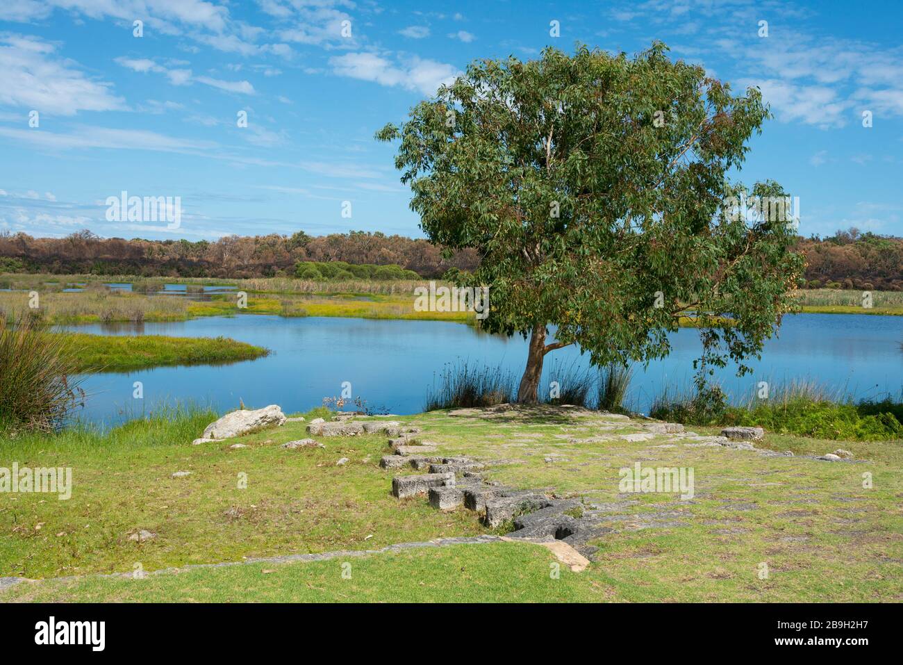 Lake in Yanchep National Park, Yanchep, Perth, Western Australia Stock ...