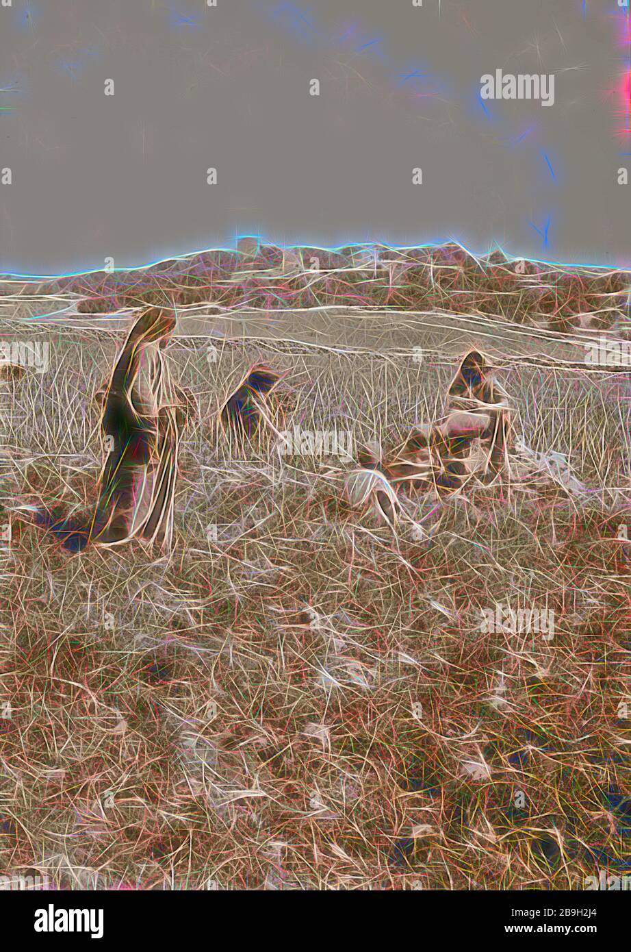 Wheat and tares hi-res stock photography and images - Alamy