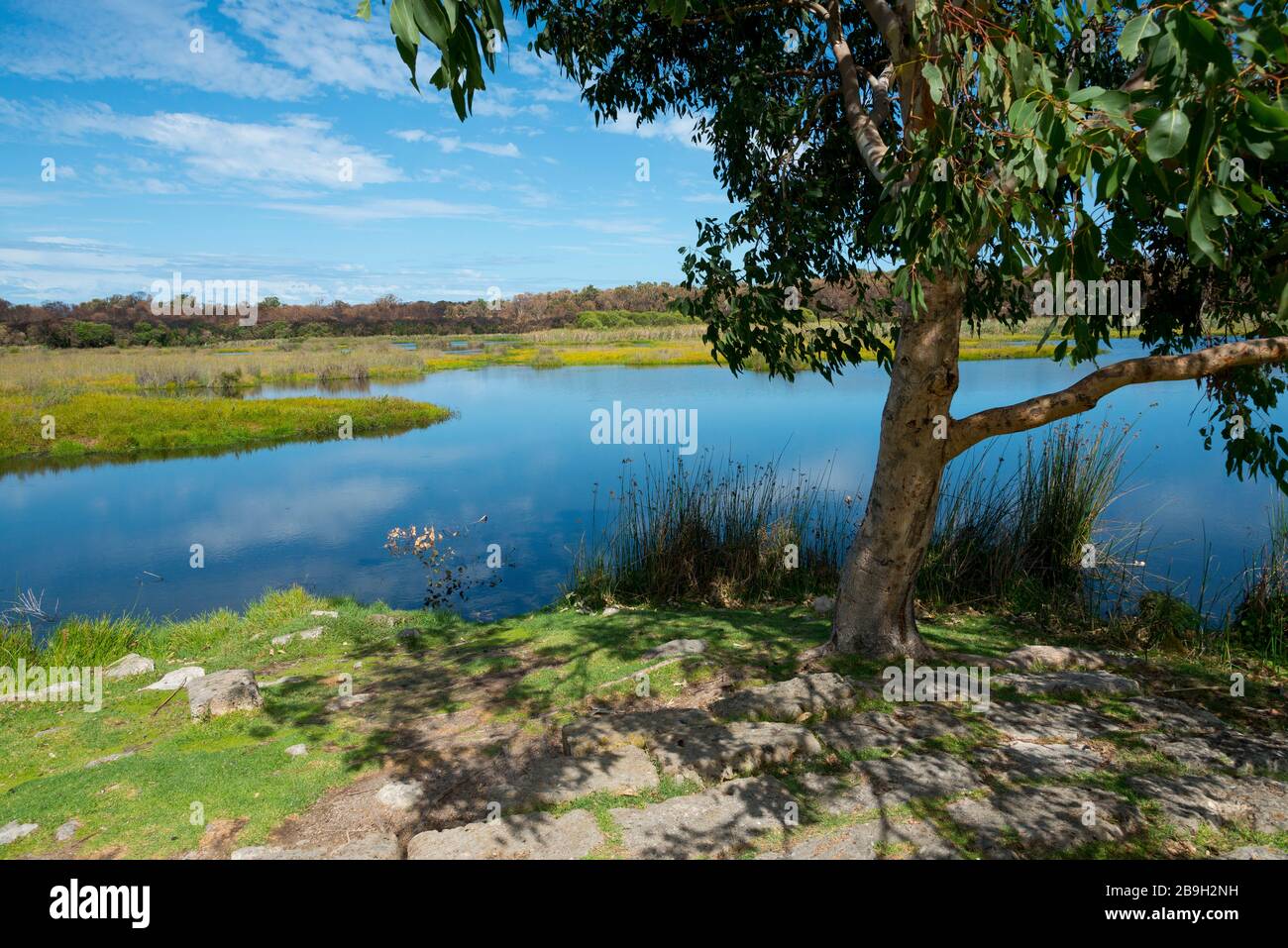 Lake in Yanchep National Park, Yanchep, Perth, Western Australia Stock ...