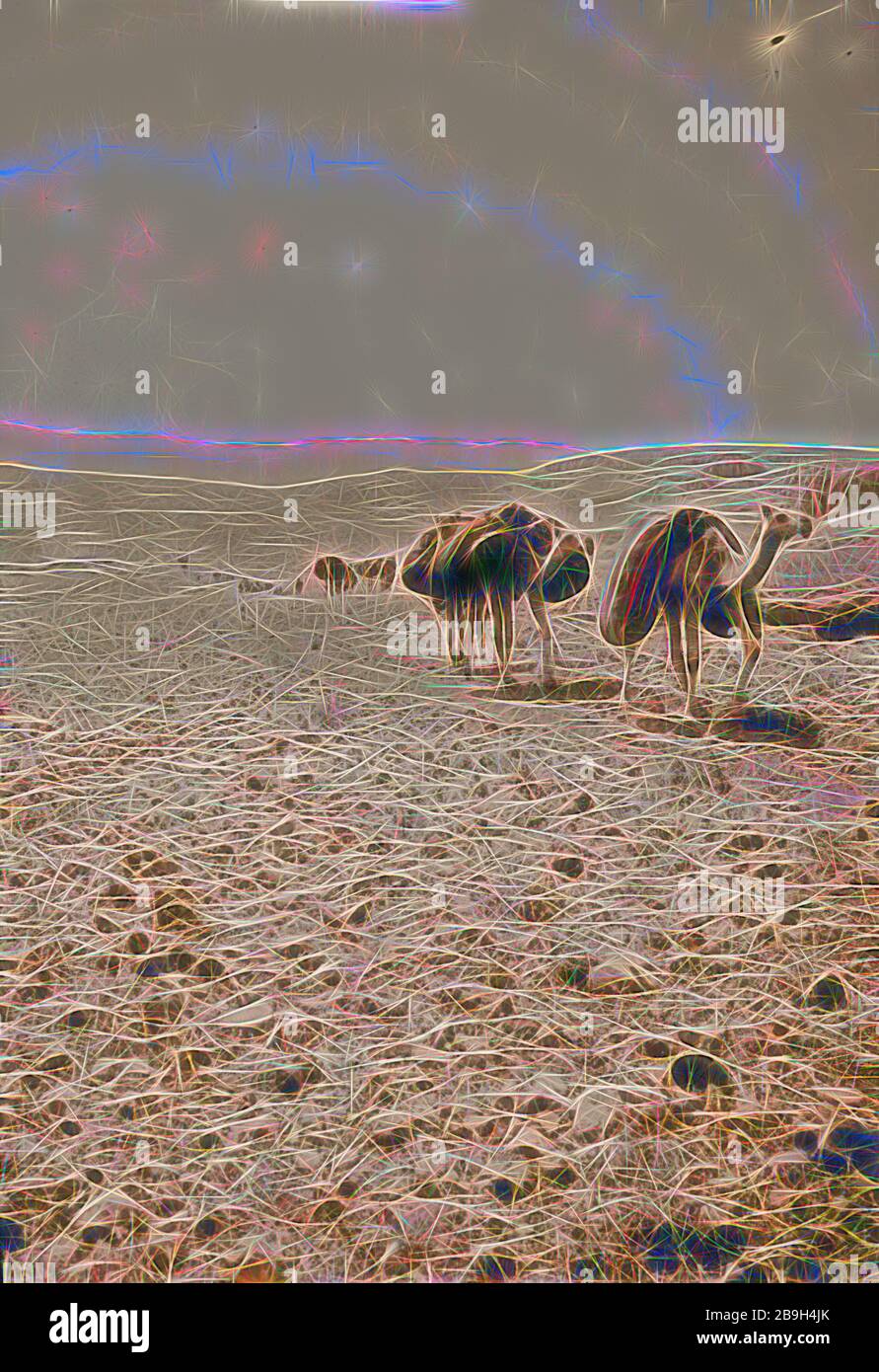 Caravan crossing the desert. 1900 Middle East Stock Photo - Alamy