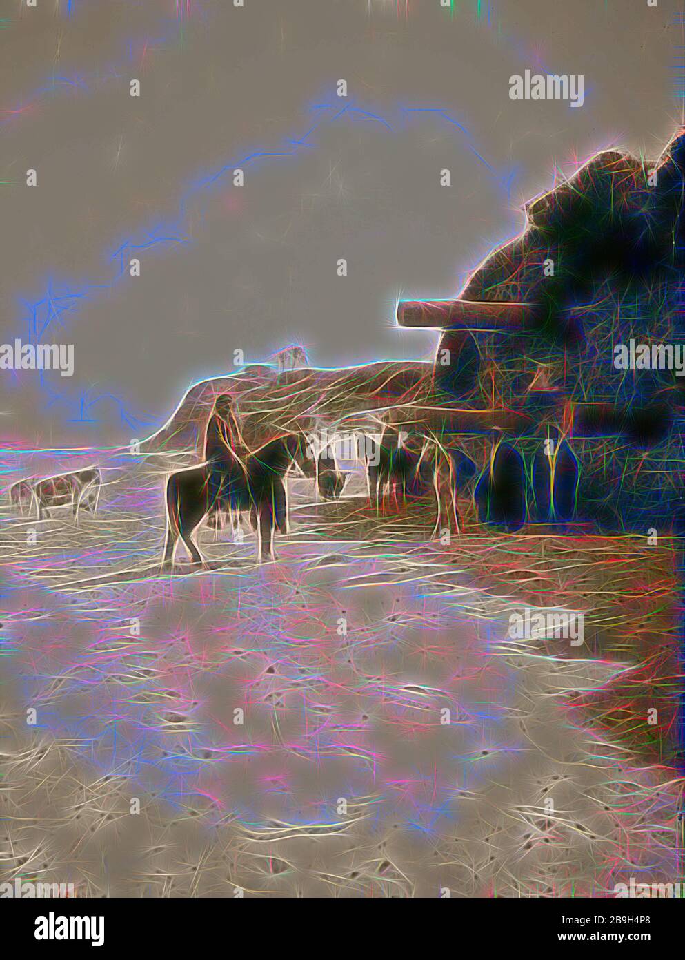 Southern Palestine. Ruins of Askalon. 1900, Israel, Ashḳelon Stock ...